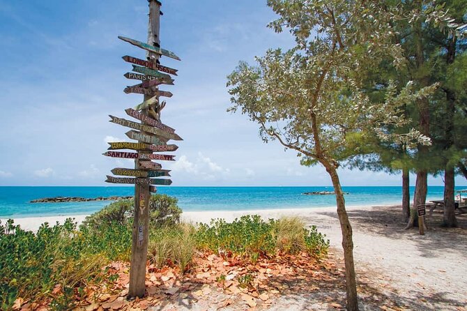 Direct Shuttle from Orlando to Key West (Up to 15 people group) - Who Would Benefit Most?