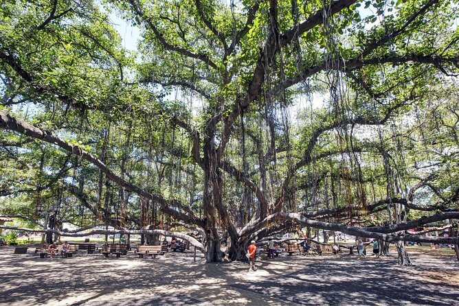 Discover Lahaina: Self-Guided Audio Tour - Key Points