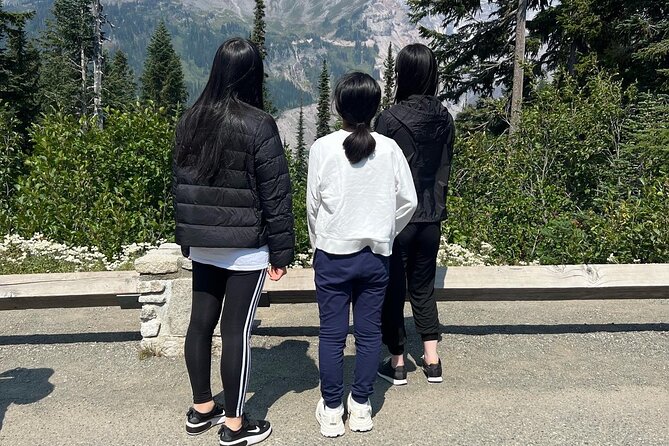 Discover Mt. Rainier  Private Full-Day Tour - Who Should Book This Tour?