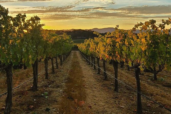 Discover Napa Valleys Hidden Gems with Local Sommelière - Key Points