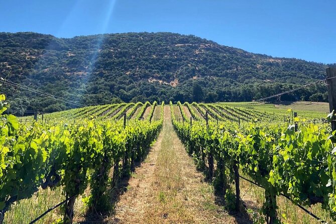 Discover Napa Valleys Hidden Gems with Local Sommelière - Exploring the Heart of Napa’s Hidden Gems