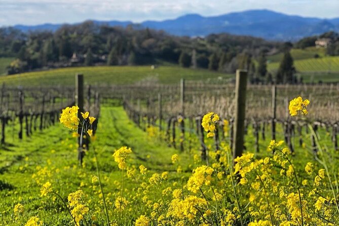 Discover Napa Valleys Hidden Gems with Local Sommelière - What Sets this Tour Apart?