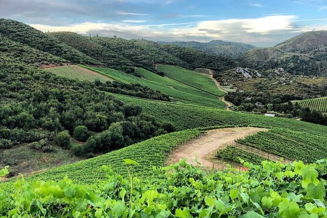 Discover Napa Valleys Hidden Gems with Local Sommelière - Frequently Asked Questions