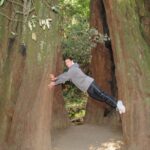 Discover Point Reyes National Seashore & Muir Woods Redwoods - Step-by-Step Breakdown of the Itinerary
