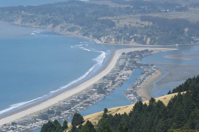 Discover Point Reyes National Seashore & Muir Woods Redwoods - Final Thoughts