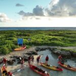 Discover Popoia Island and Kailua Bay by Kayak Guided Tour - What to Expect From the Wildlife and Scenery