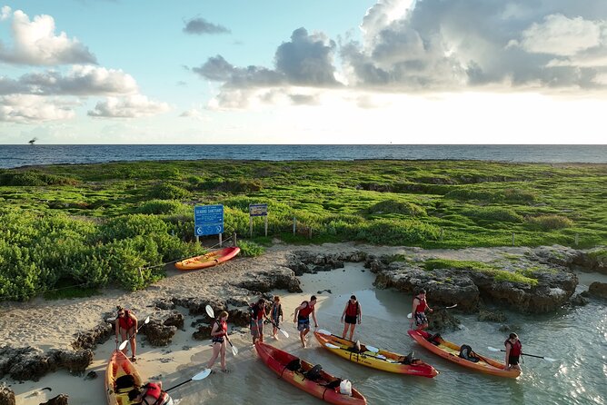 Discover Popoia Island and Kailua Bay by Kayak Guided Tour - What to Expect From the Wildlife and Scenery