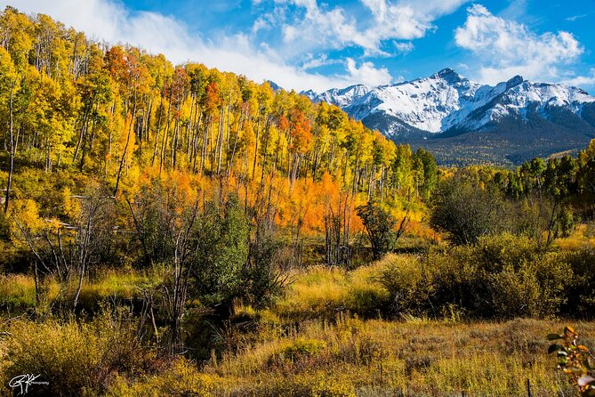 Discover Rocky Mountain National Park - Why This Tour Works for Different Travelers