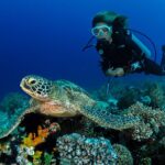Discover Scuba Diving in Waikiki - Practical Details and Tips