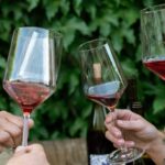 Discover Sonoma's Natural Wineries in Small-Group Tour - Final Thoughts