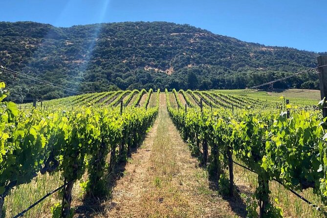 Discover Sonoma's Natural Wineries in Small-Group Tour - FAQ