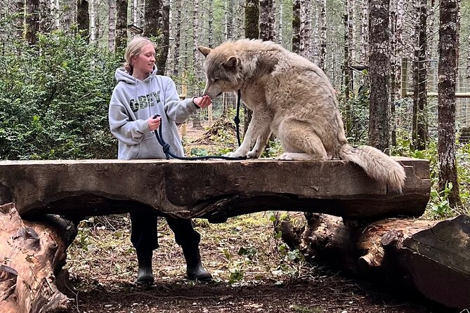 Discover the beauty of the wild & Roam in the spirit of the wolf - FAQ
