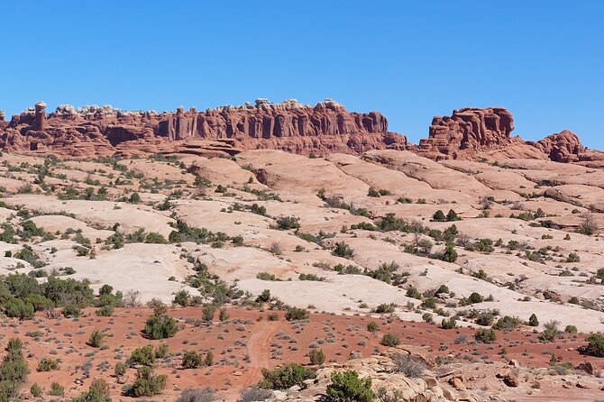Discover The Hidden Arches: Solitaire Arches Private Desert Hike - Value and Cost Analysis