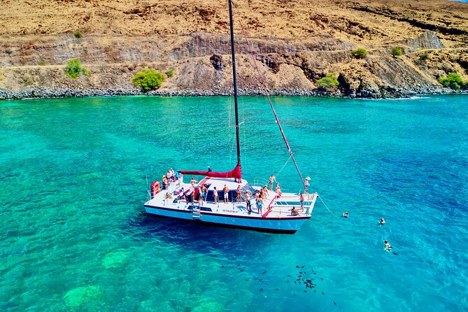 Discover the Magic of Coral Gardens Turtle Town - Maalaea Harbor - An Honest Look at the Coral Gardens Turtle Town Tour