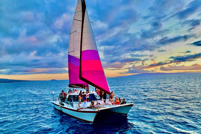 Discover the Magic of Coral Gardens Turtle Town - Maalaea Harbor - Who Should Consider This Tour?