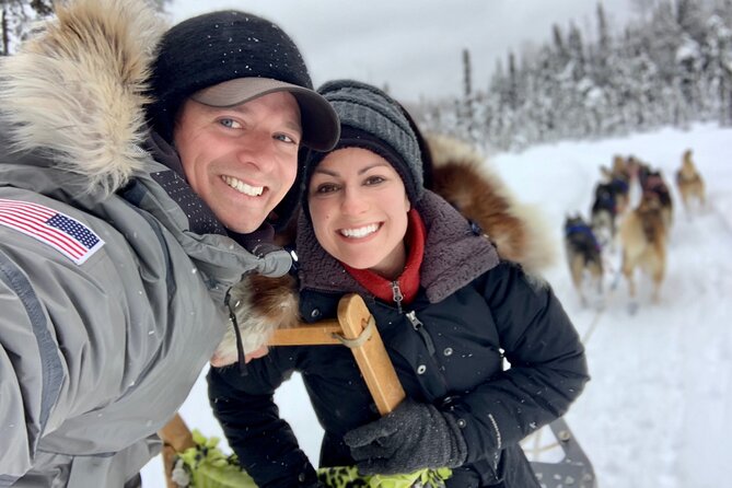 Dog Sledding Adventure in Willow, Alaska - In-Depth Look at the Dog Sledding Experience