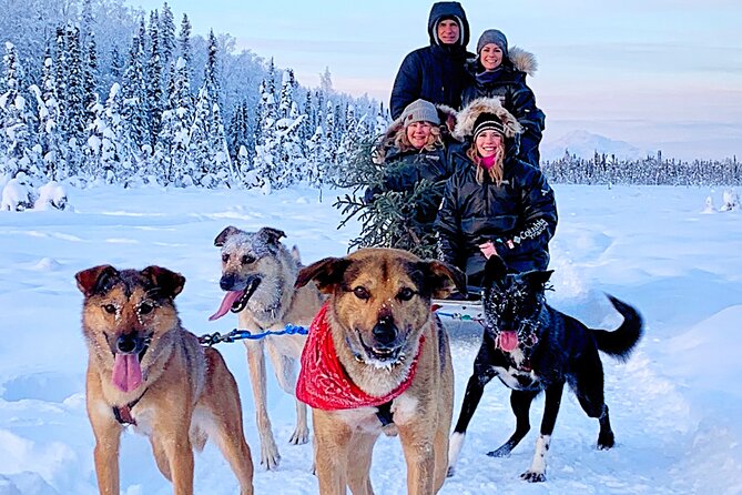 Dog Sledding Adventure in Willow, Alaska - Frequently Asked Questions