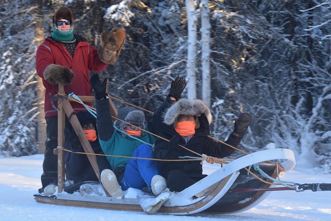Dog Sledding and Mushing Experience in North Pole - What to Expect from Your Dog Sledding Tour