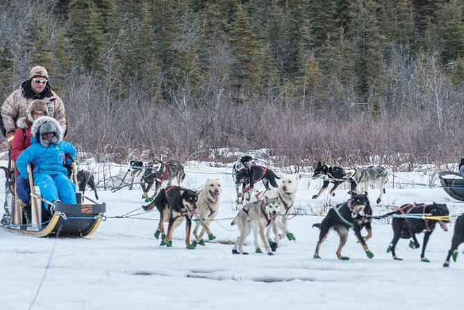 Dog Sledding - Subarctic Wilderness Tour - FAQ