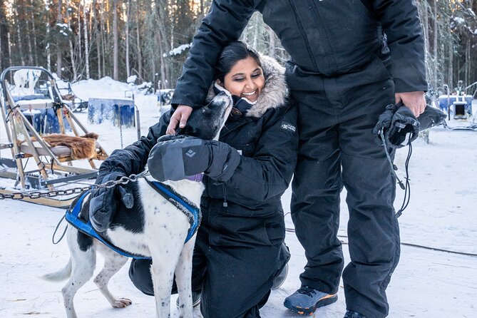 Dogsled and Reindeer Day Trip to Borealis Basecamp - The Cost and Value
