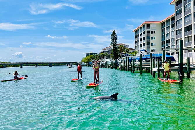 Dolphin and Manatee Adventure Tour of Fort Myers - The Experience with Guides: Knowledge, Friendliness, and Engagement