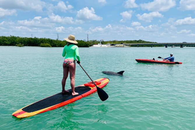 Dolphin and Manatee Adventure Tour of Fort Myers - Pricing and Overall Value