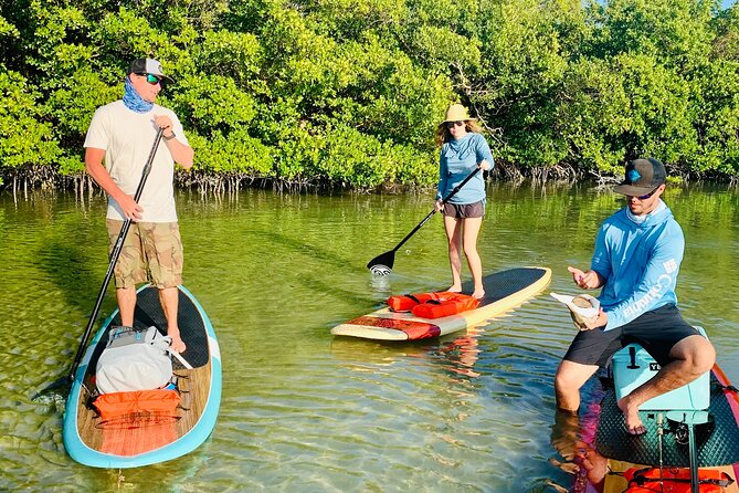 Dolphin and Manatee Adventure Tour of Fort Myers - Practical Details: Reservation, Cancellation, and Accessibility
