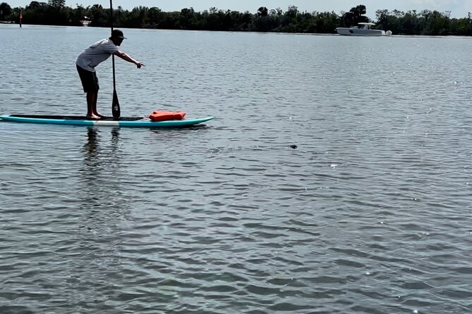 Dolphin and Manatee Adventure Tour of Merritt Island - The Experience of the Guides