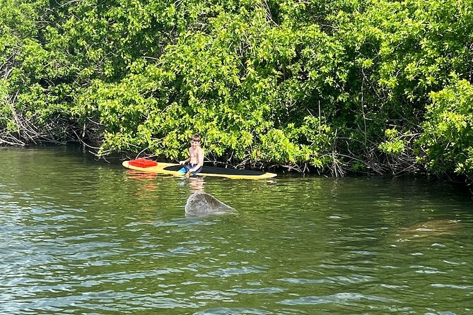 Dolphin and Manatee Adventure Tour of Merritt Island - Cancellation Policy & Weather Considerations