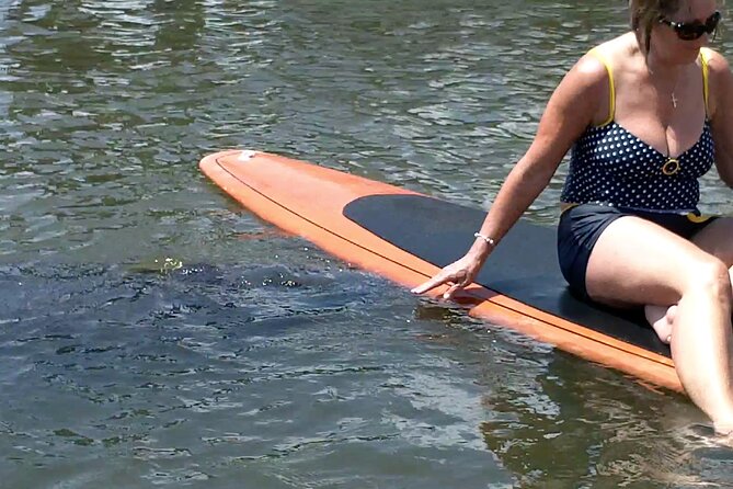 Dolphin and Manatee Adventure tour of Osprey with Florida History - Who Should Consider This Tour?