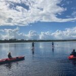 Dolphin and Manatee Adventure tour of Osprey with Florida History - The Sum Up