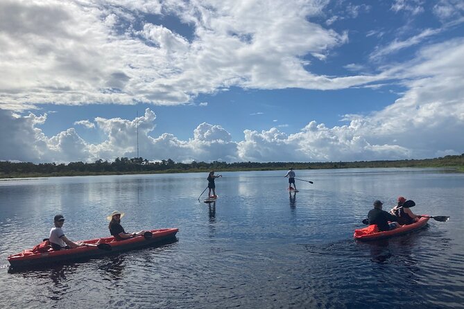 Dolphin and Manatee Adventure tour of Osprey with Florida History - The Sum Up