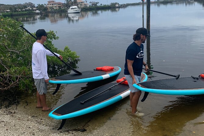 Dolphin and Manatee Adventure Tour of Sarasota with Olde Florida History! - Authentic Experiences from Reviews