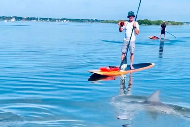 Dolphin and Manatee Kayak and SUP Adventure Tour of Cocoa Beach - Who Is This Tour Perfect For?