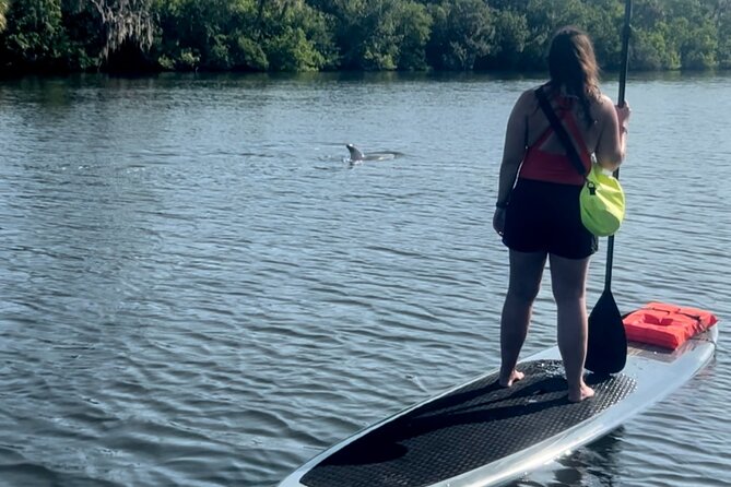 Dolphin and Manatee Kayak and SUP Adventure Tour of Cocoa Beach - Final Thoughts: Is It Worth It?