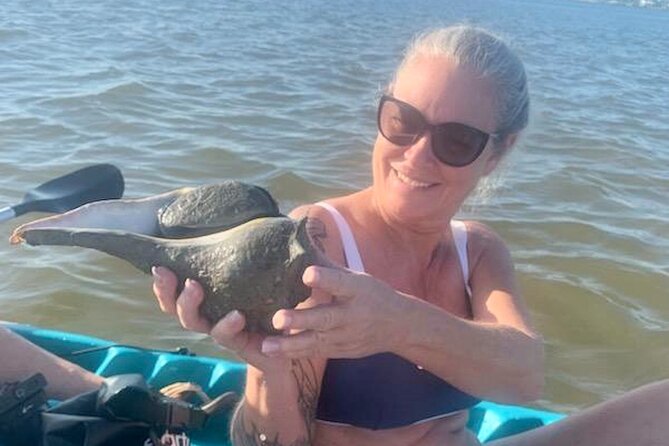 Dolphin and Manatee Kayak Tour of Daytona Beach - An In-Depth Look at the Daytona Beach Dolphin and Manatee Kayak Tour