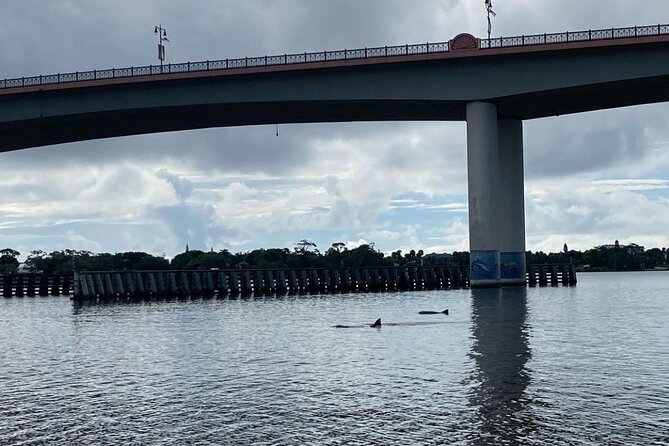 Dolphin and Manatee Stand Up Paddleboard Tour in Daytona Beach - Practical Aspects and Value