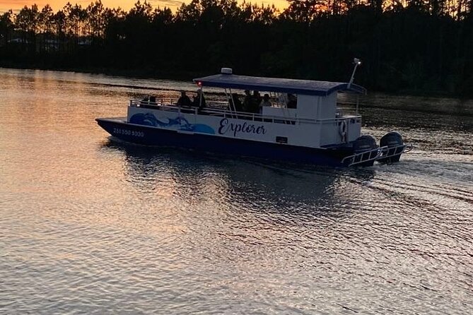 Dolphin and Nature Sunset Cruise from Orange Beach - Who Is This Tour Perfect For?