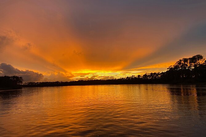 Dolphin and Nature Sunset Cruise from Orange Beach - Frequently Asked Questions