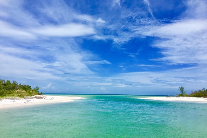 Dolphin and Shelling Cruise for up to 12 people - Key Points