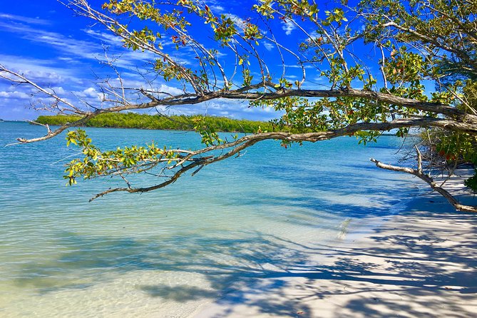 Dolphin and Shelling Cruise for up to 12 people - Practical Tips for the Trip
