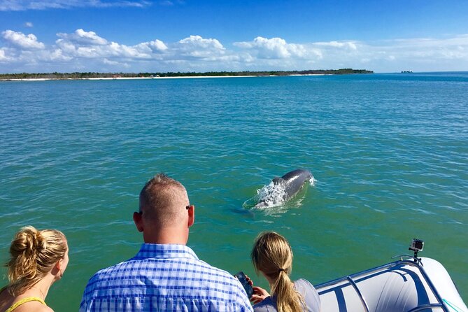 Dolphin and Shelling Cruise for up to 12 people - Final Thoughts: Is It Worth It?