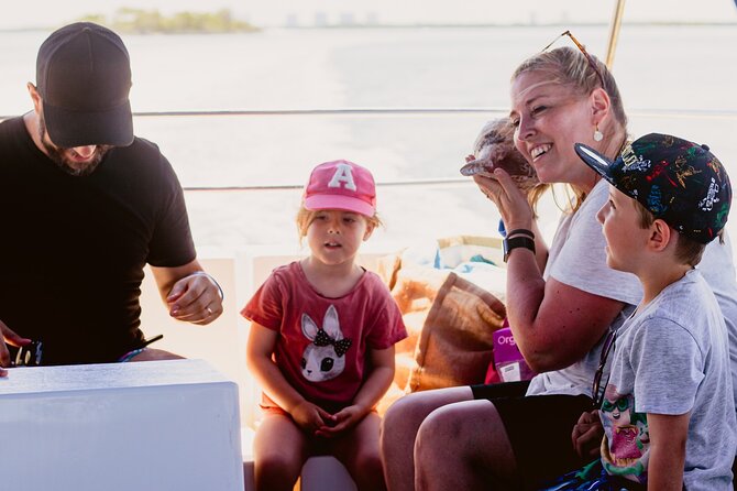 Dolphin and Shelling Cruise Tour at Fort Myers Beach - An In-Depth Look at the Tour