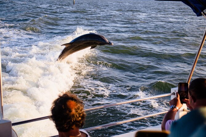 Dolphin and Shelling Cruise Tour at Fort Myers Beach - The Sum Up