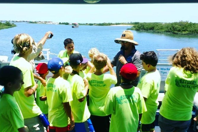 Dolphin and Wildlife Adventure of St. Augustine - An Overview of the Experience