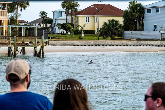 Dolphin and Wildlife Adventure of St. Augustine - What Reviewers Are Saying