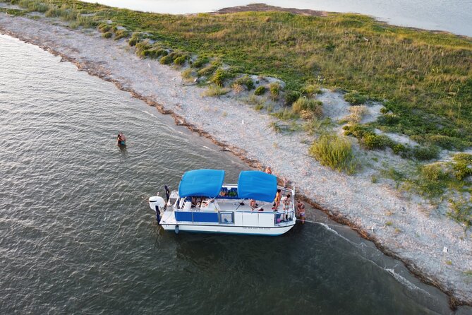 Dolphin Boat Tour from Folly Beach to Morris Island - Who should book this tour?