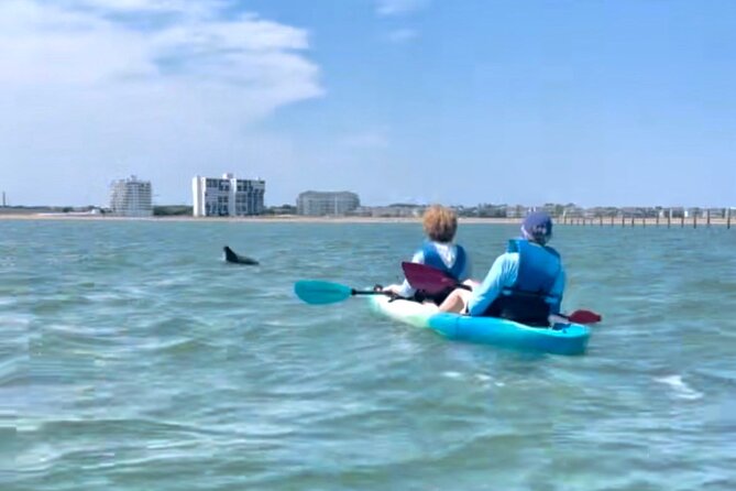 Dolphin Kayak Tour in Virginia Beach Must know how to swim - What the Tour Includes
