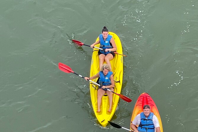 Dolphin Kayak Tour in Virginia Beach Must know how to swim - Weather Considerations & Cancellation Policy