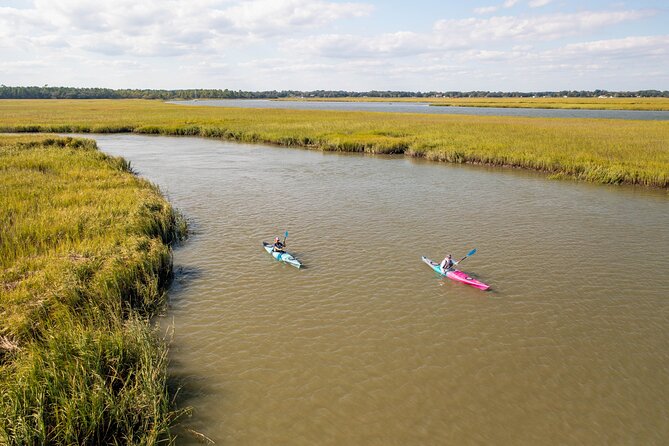 Dolphin Kayak Tour on Folly Beach - Key Points